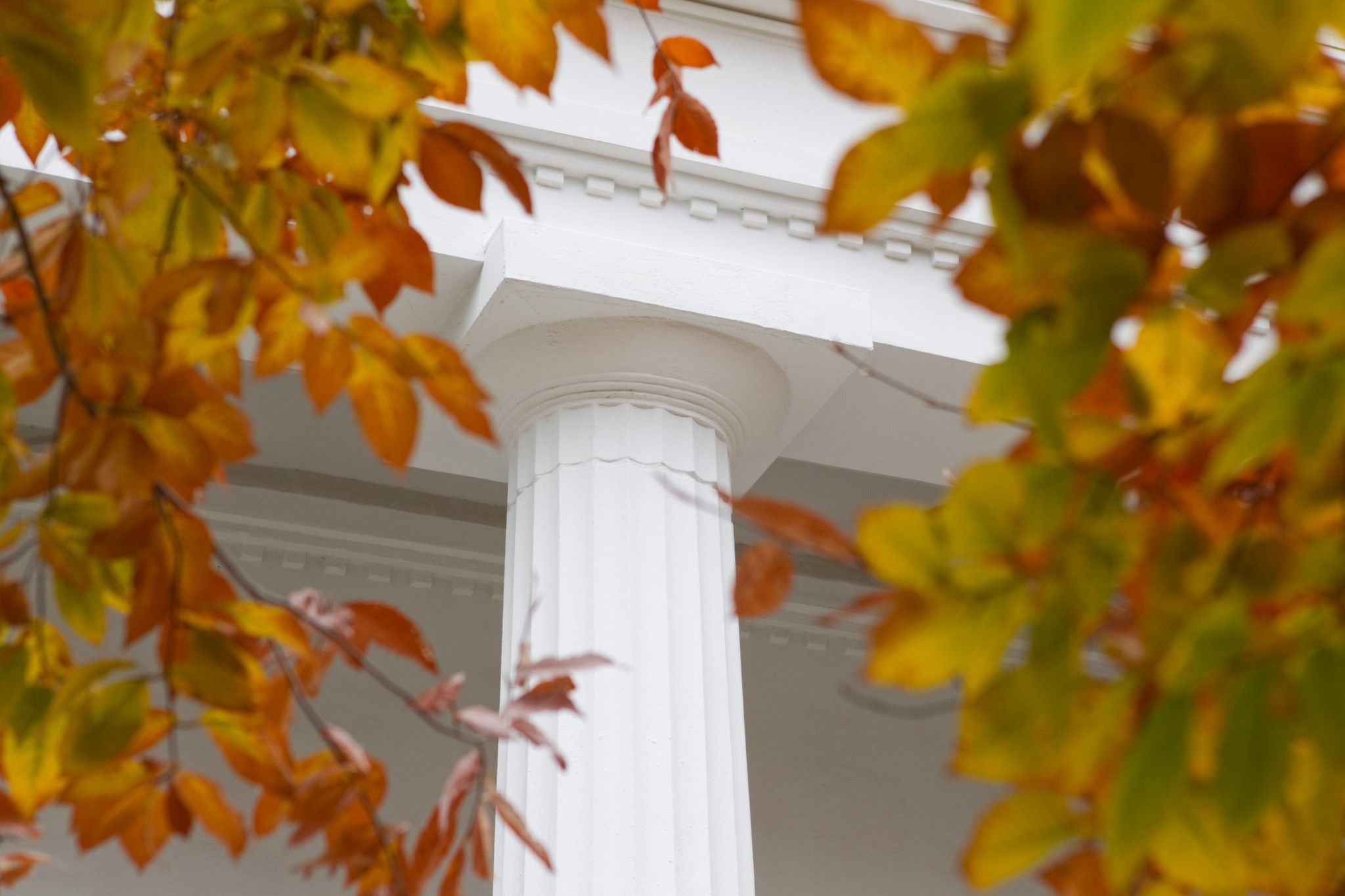 History - GAPPA - Georgia Chapter of APPA