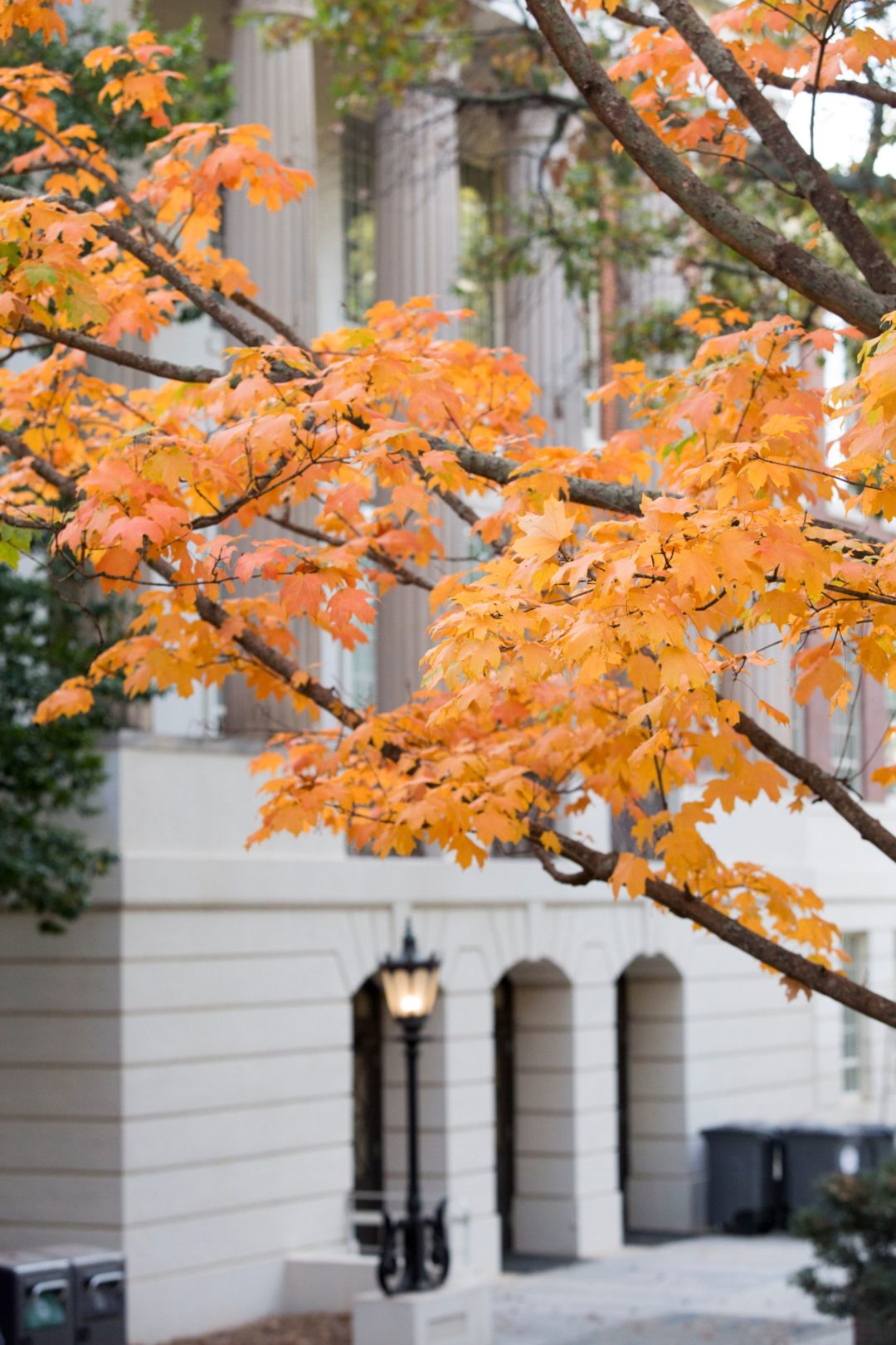 Scholarships - GAPPA - Georgia Chapter of APPA